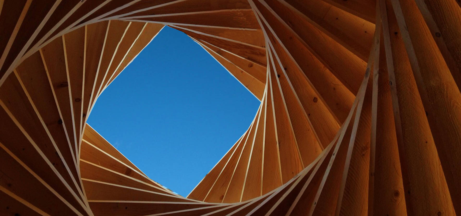 ALbero TOrtile | homify