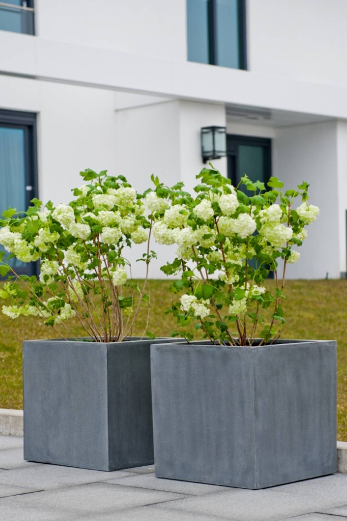 Fiberstone Pflanzgefäße | homify