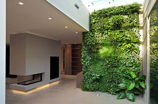 Bring the green inside - placing a green wall in your home | homify