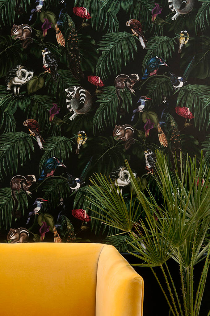 Amazonia Dark Wallpaper | homify