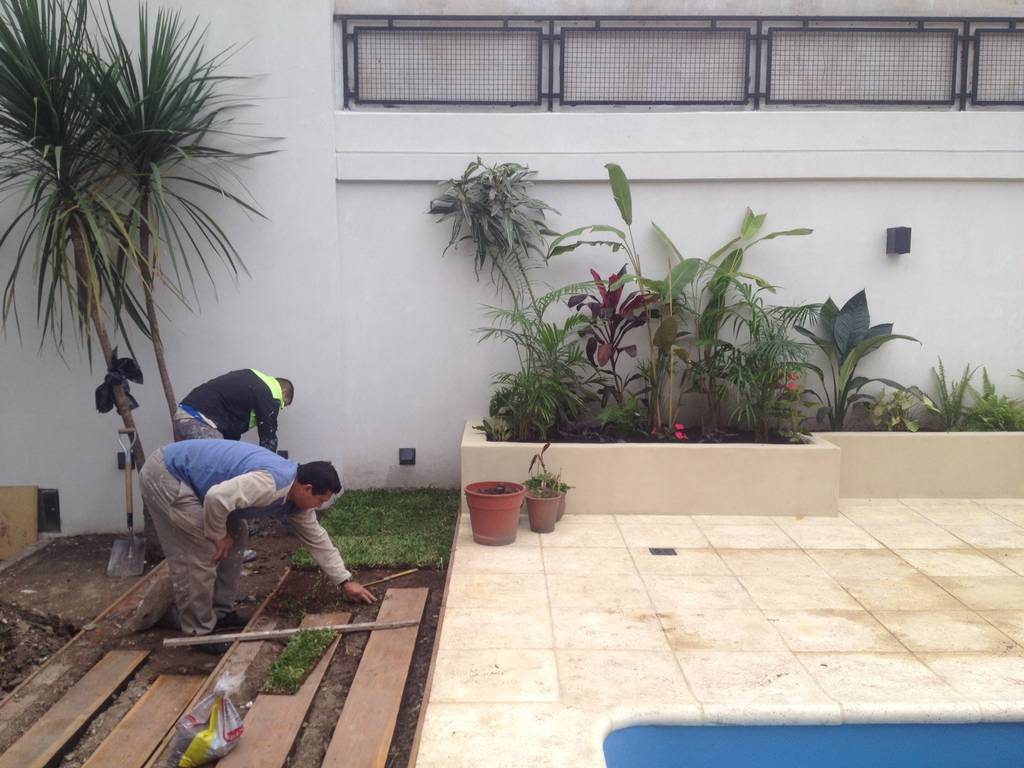 Reciclaje de un jardín con pileta descuidado, estudio nicolas pierry ...