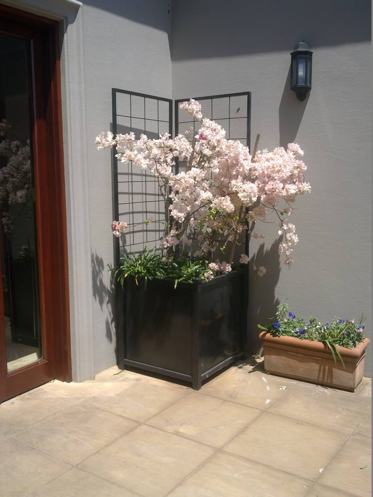 Steel planter oxford trellis garden accessories & decoration iron/steel ...