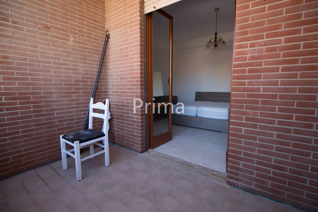 Gerberas in bloom, studio stagerô di roberta anfora - home staging ...
