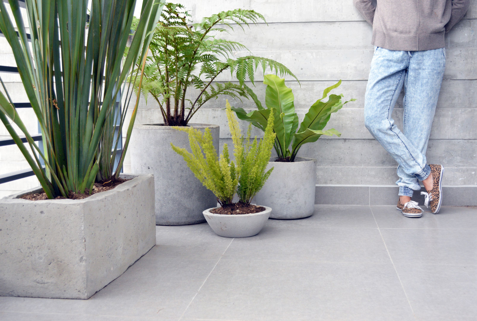 7 Langkah Mudah Membuat Pot Hias dari Beton | homify