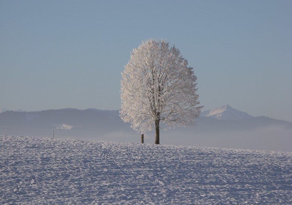 Den Winter genießen: Ab in den Schnee! | homify