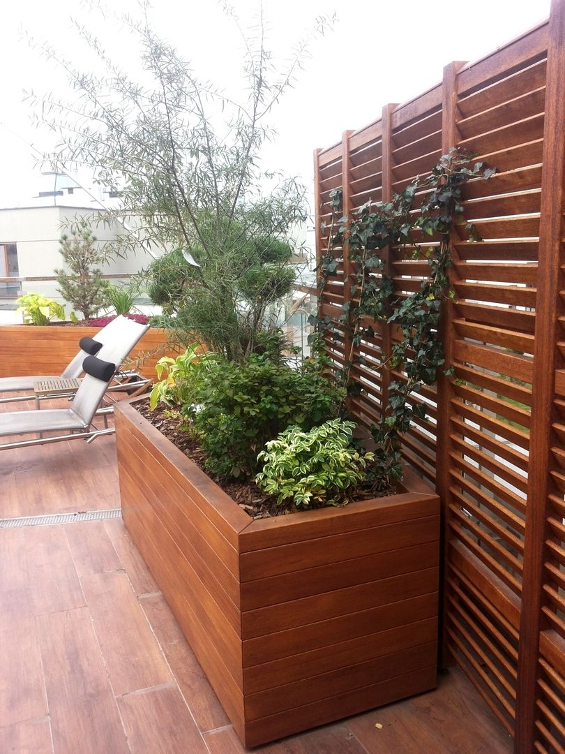 5 Tanaman Rambat Cantik Untuk Fasad dan Pagar Rumah | homify