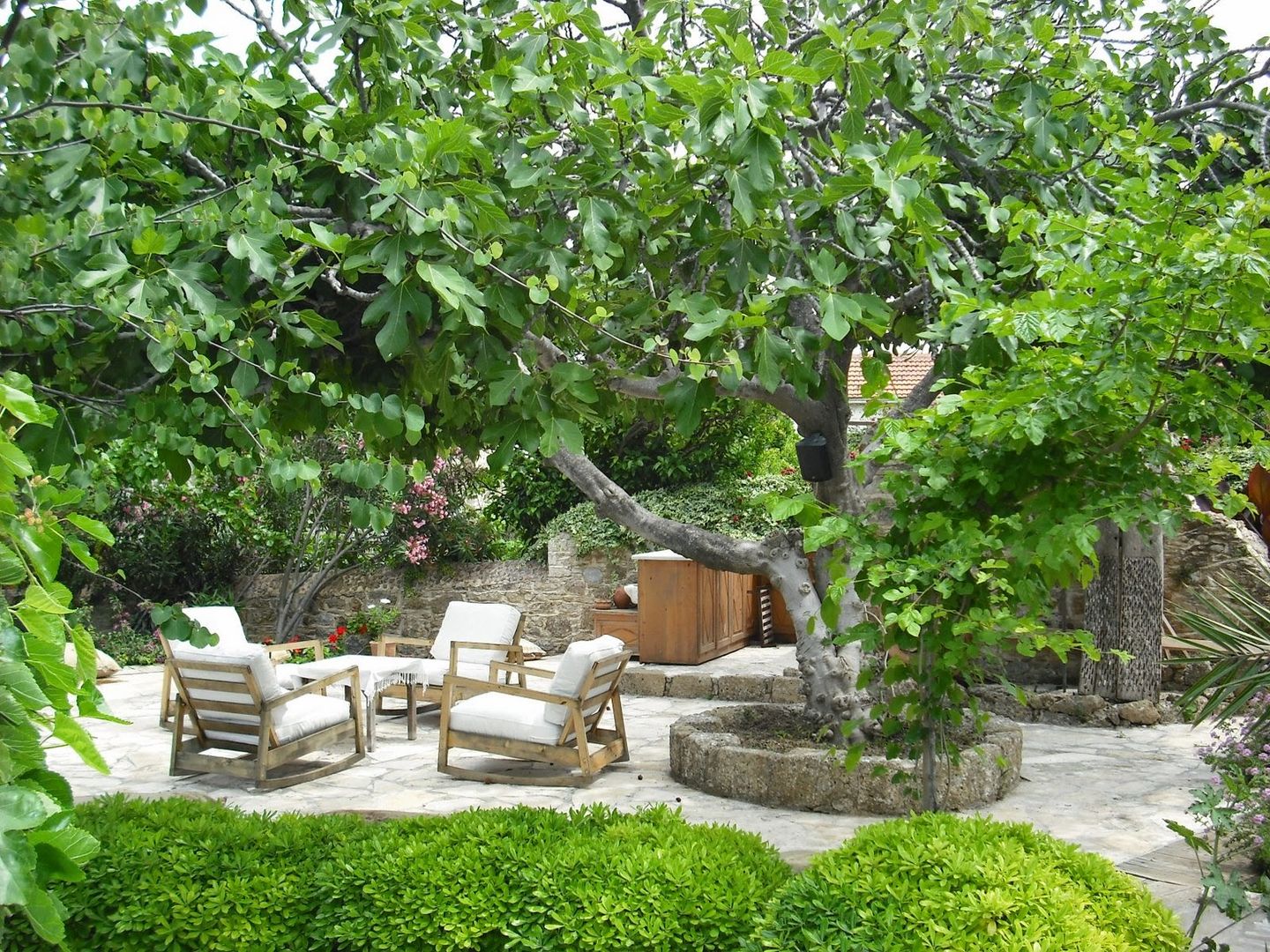 Have your own holistic garden! | homify