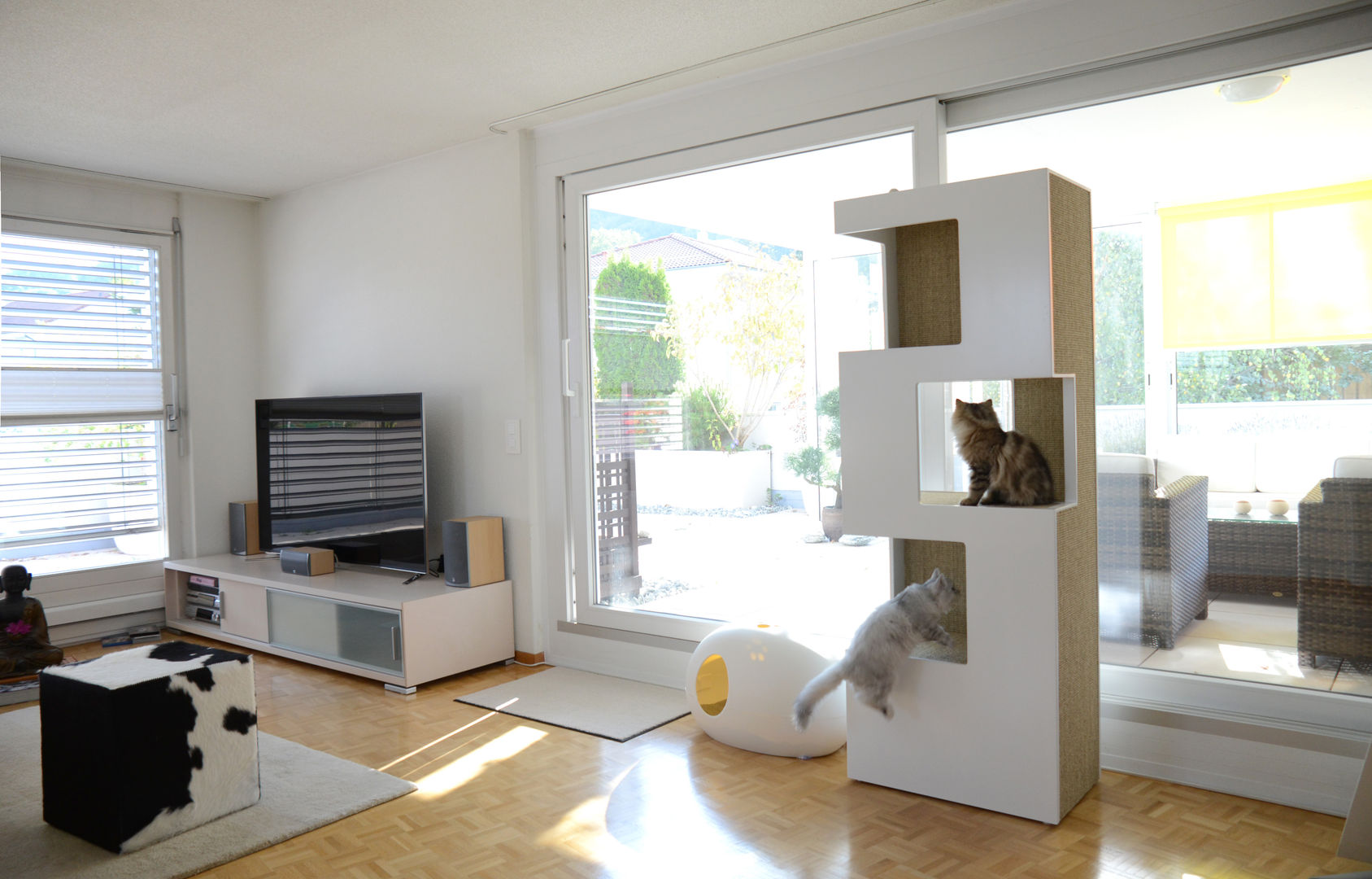 Purrrfect cat-friendly ideas for your home | homify