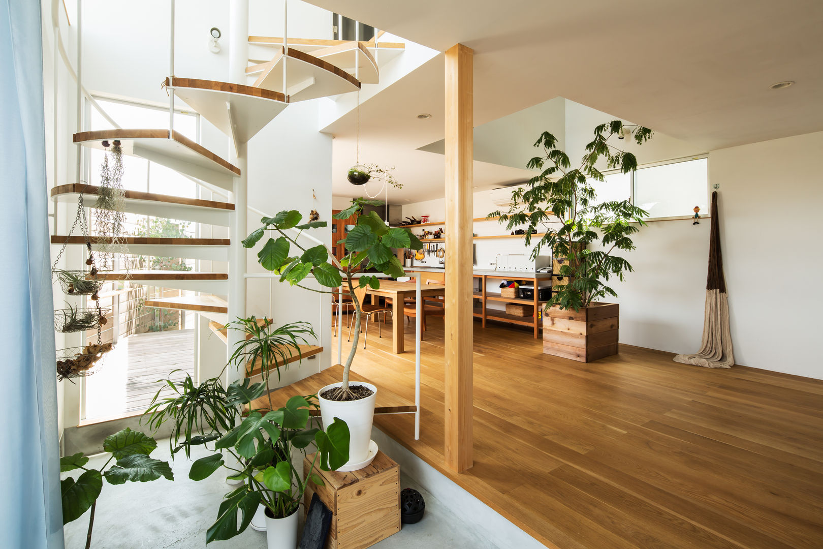 5 inspiring entrance layouts | homify