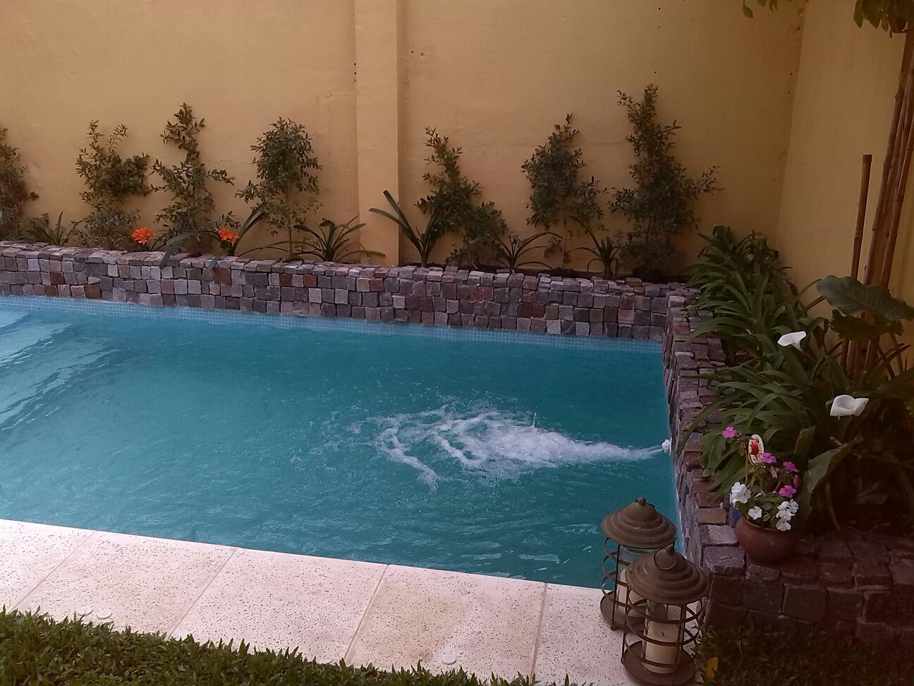 DIY: build your own pool in 7-steps | homify