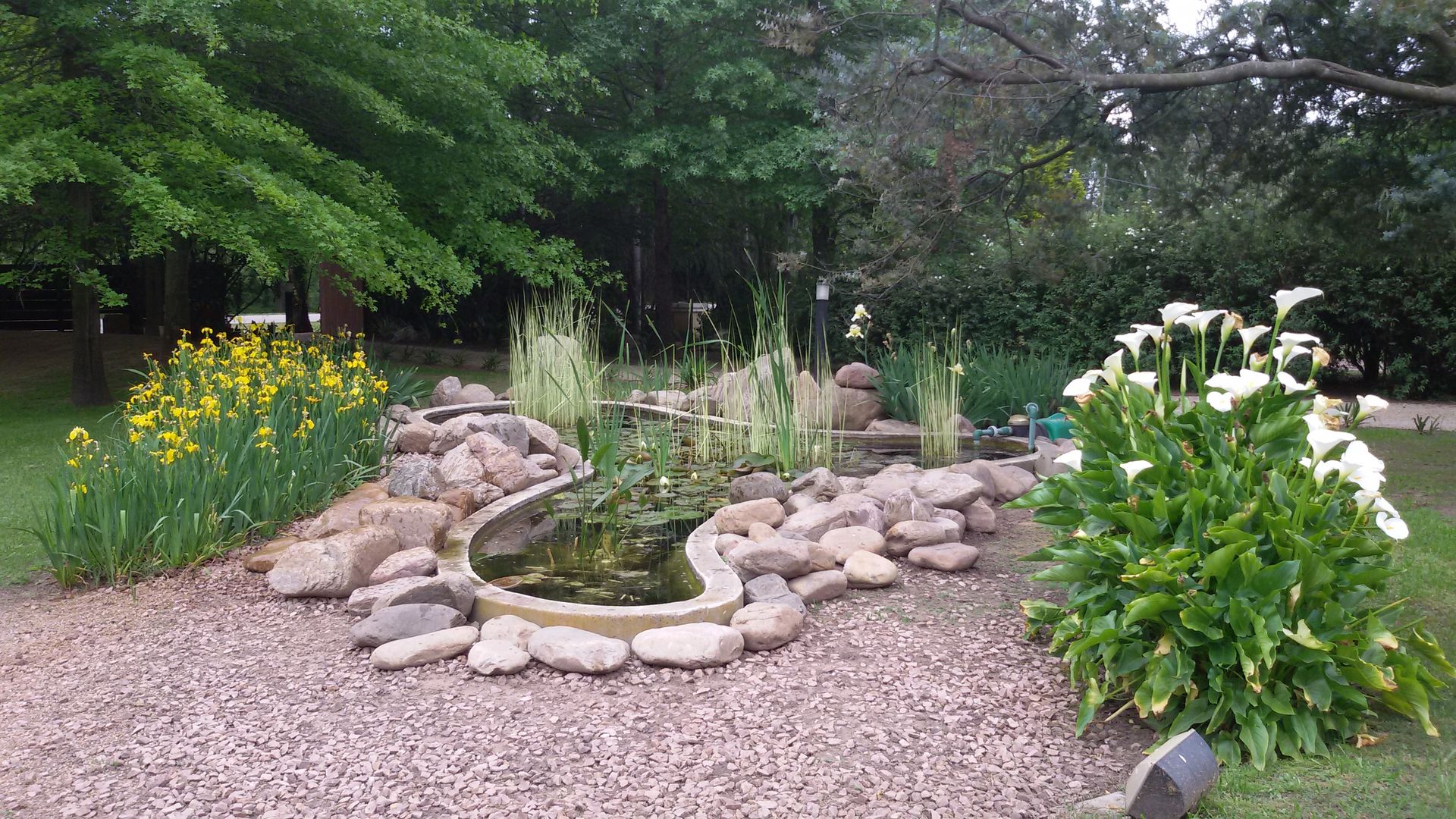 Gardening: 8 landscaping ideas that break the mold of boring design ...