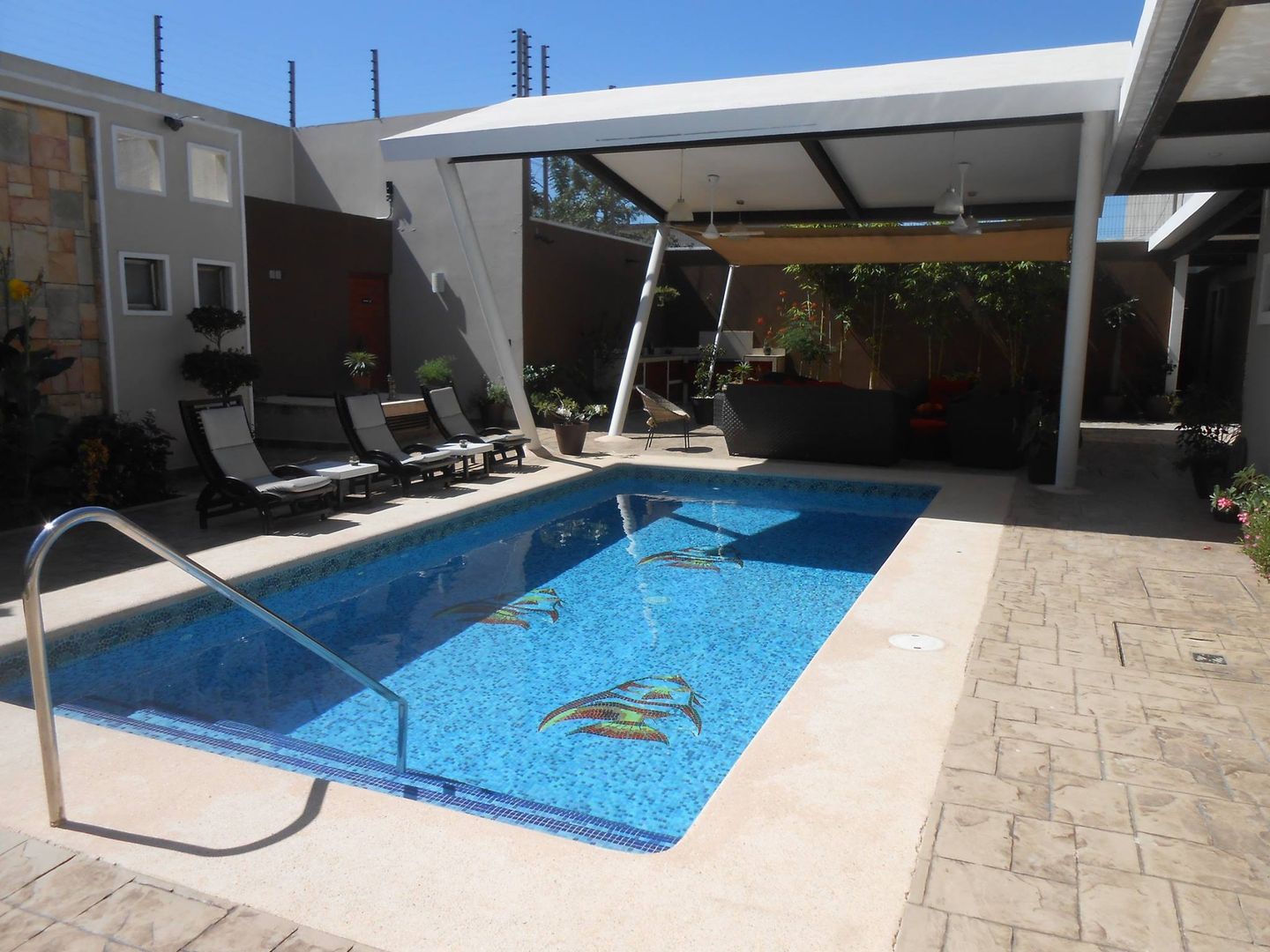 Todo lo que debes saber si quieres una alberca en tu patio | homify