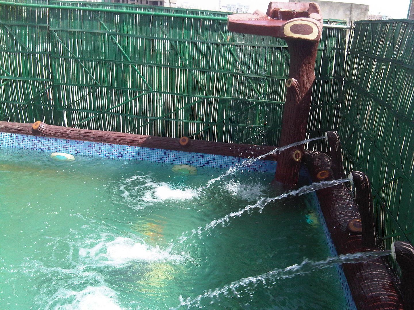 6 Colourful Pool Ideas : The Easiest Way to Nature & Rejuvenation | homify