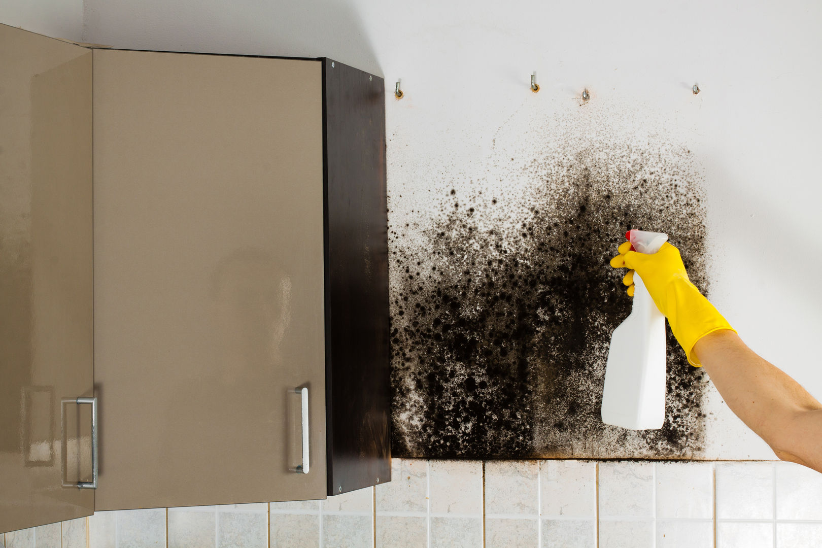 How to Clean Damp From Walls So It Never Returns! | homify