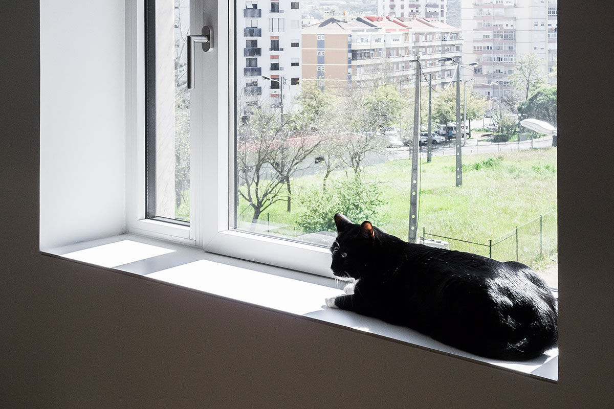 Optimizing Your Space: A Comprehensive Guide to Window Sills and Their ...