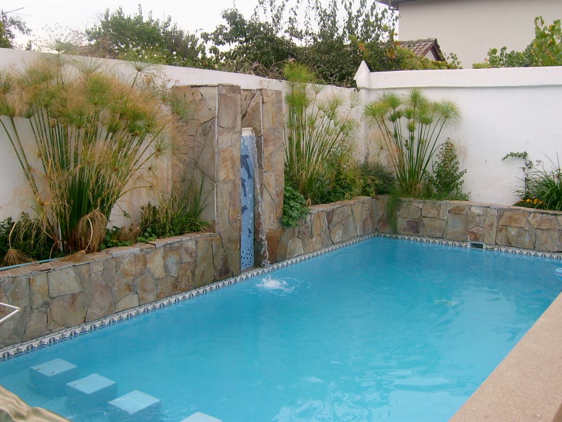 ¡Tipos de piscinas increíbles que tienes que conocer! | homify