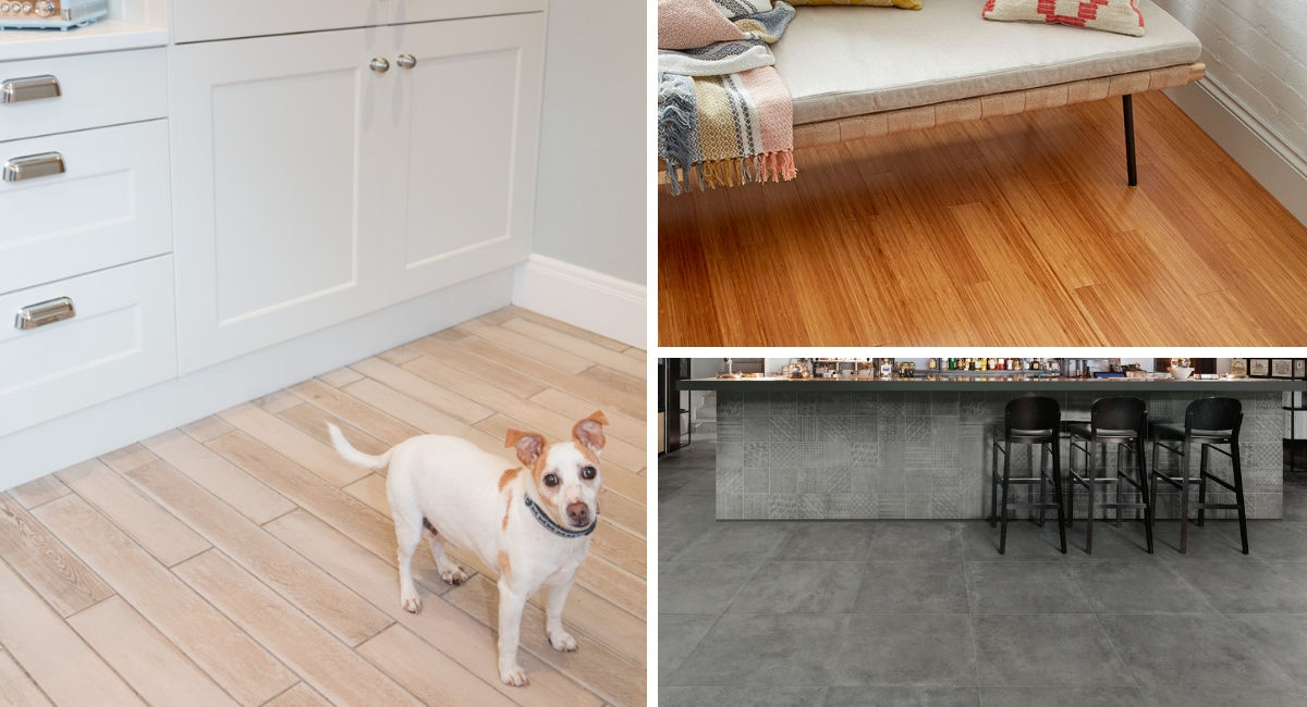 7 pet-friendly flooring options for your furry friends | homify