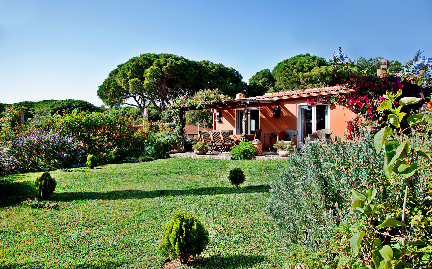 Cottage garden: estilo de jardim natural - profissional de Cascais | homify