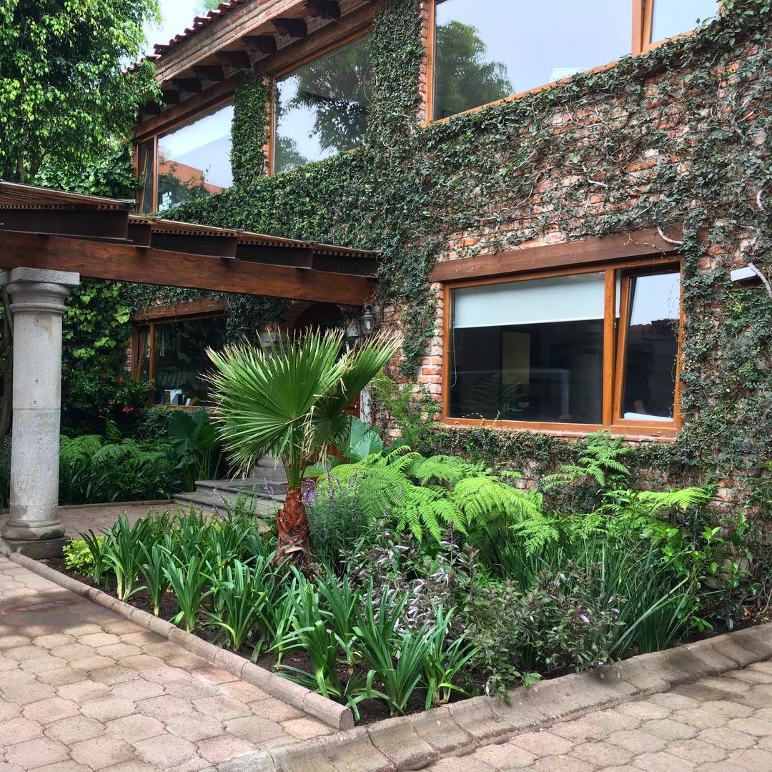 12 Enredaderas Bellísimas Que Vas AMAR En Tu Hogar | homify