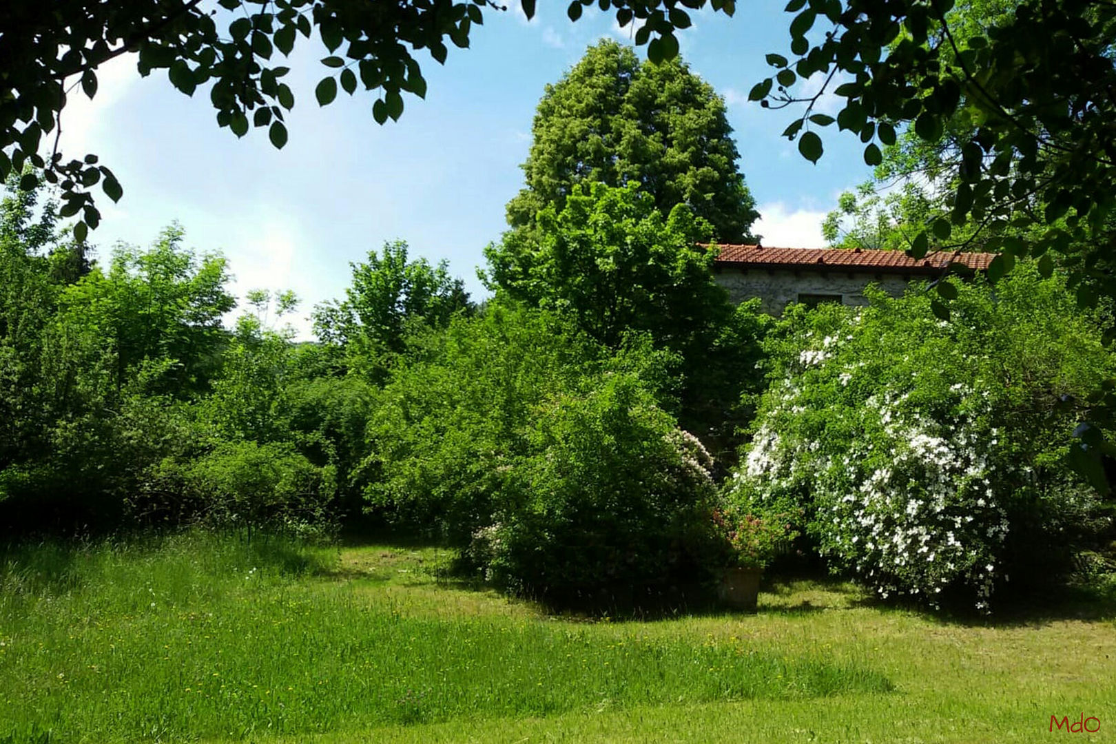 Un'Isola Felice Verde con il Garden Design | homify