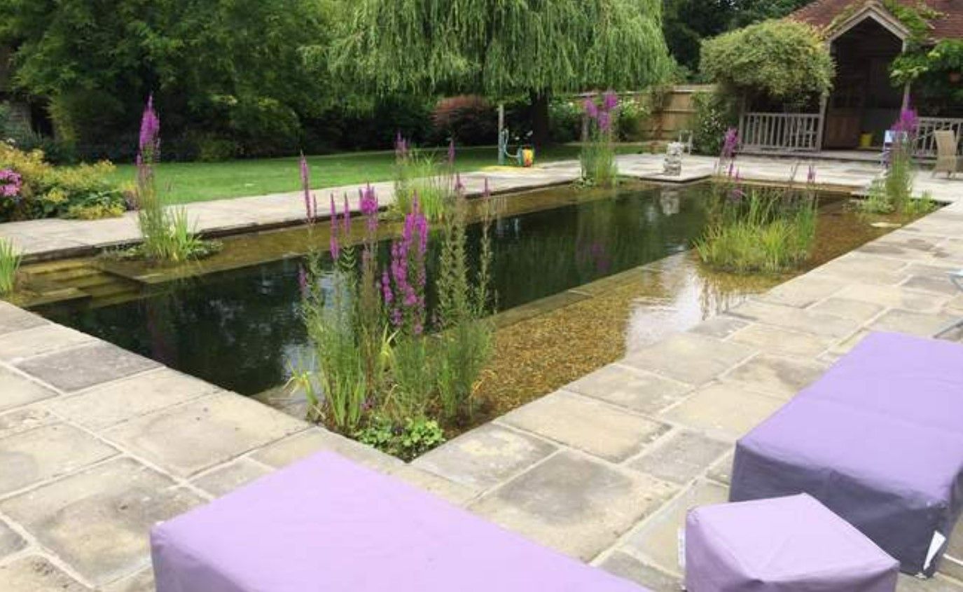 How a Natural Swimming Pond Adds Beauty and Charm to Your Garden | homify