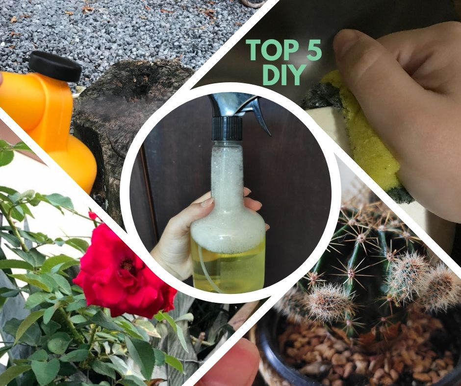 DIY Top 5 - Los Cinco Proyectos Más Leídos de la Semana | homify