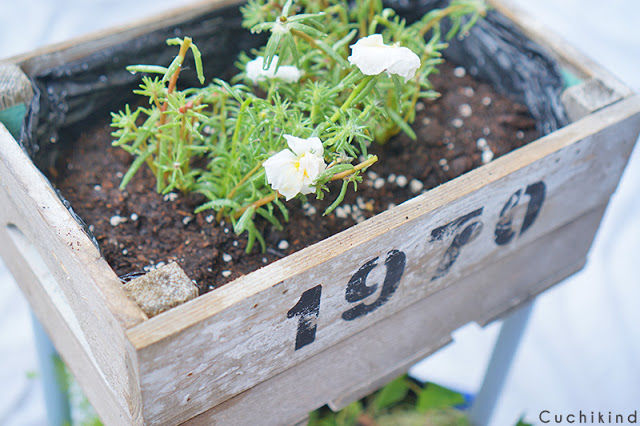 DIY: How to build your own plant trolley | homify