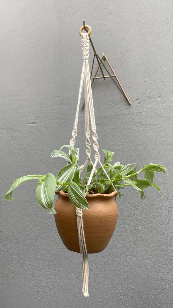 Eenvoudige DIY-Instructies: Macramé-Hangmand voor Beginners | homify