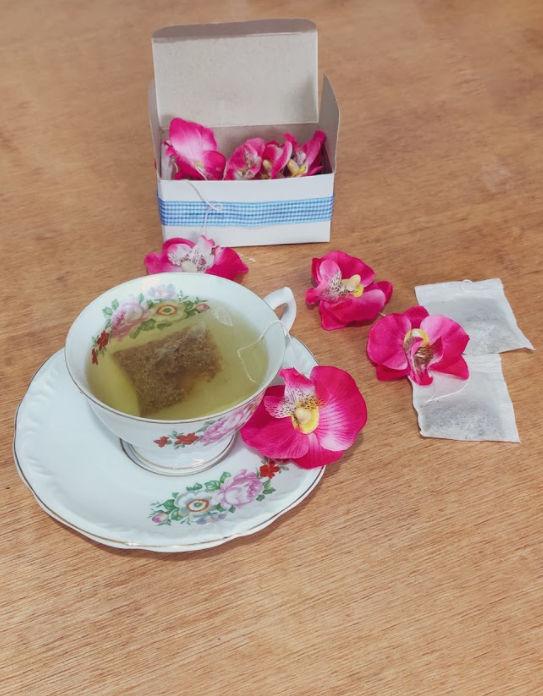 El regalo perfecto si le gusta el té | homify