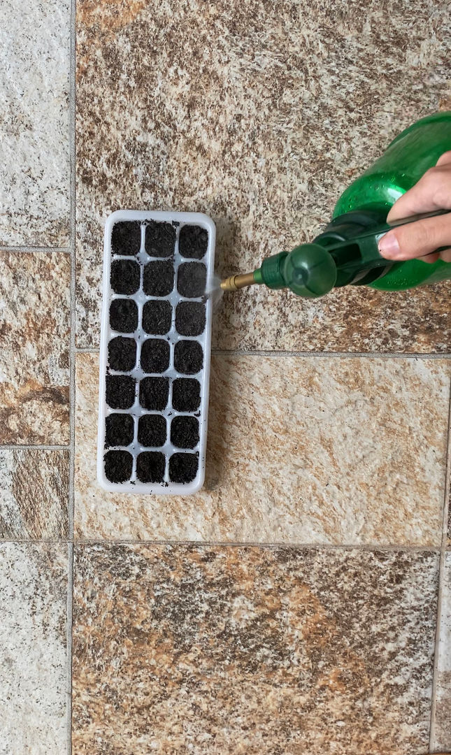 Tuinieren Voor Beginnen | Hoe Plant Je Zaadjes In 6 Stappen | homify