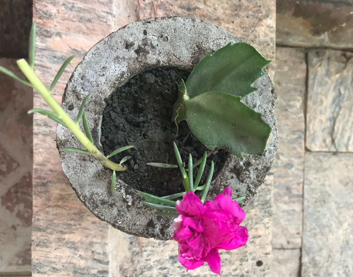 12 DIY steps to create cement pots for your garden | homify