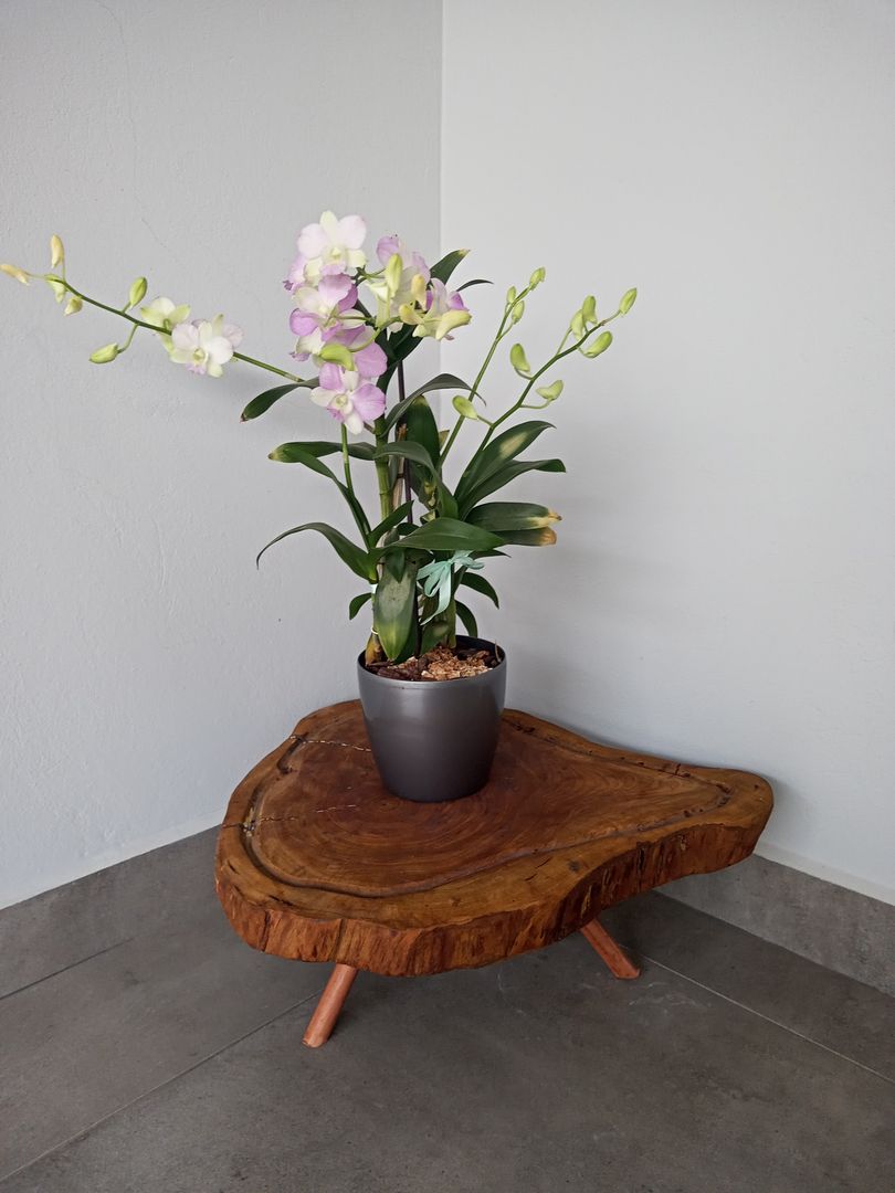 How to Make a Tree Trunk Table [10 Steps] | Tree Trunk Furniture Ideas ...