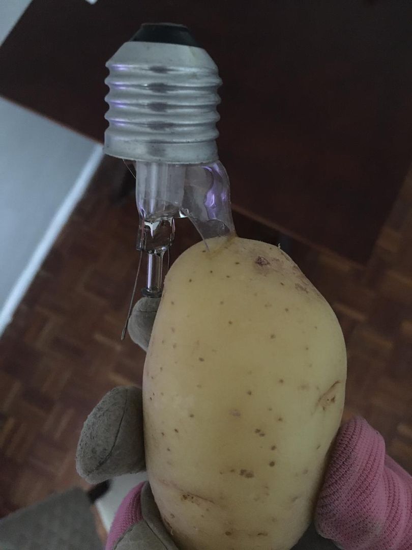 Remove Broken Light Bulb Potato