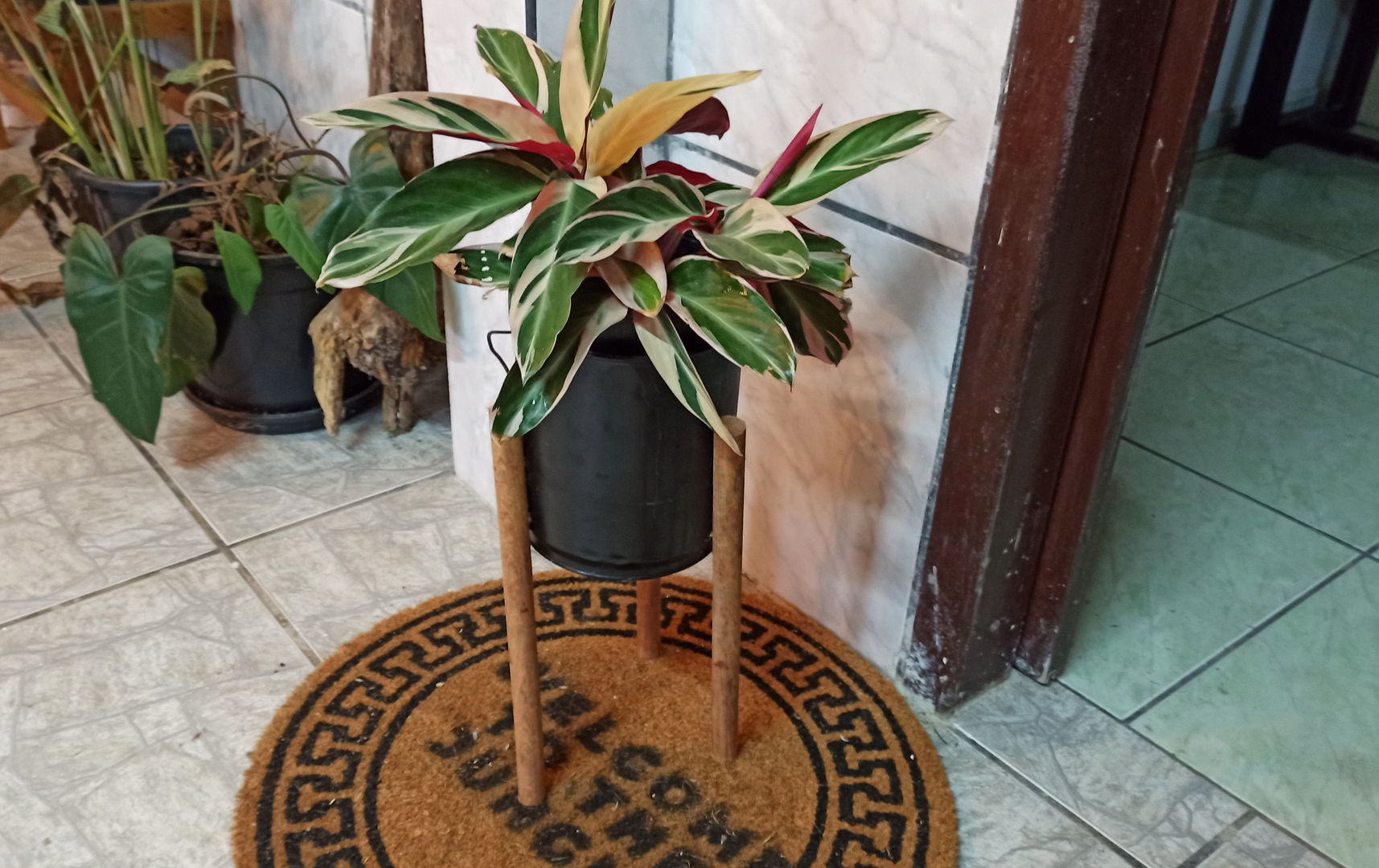 Haz Una Bella Canasta de Plantas en 9 Simples Pasos | homify