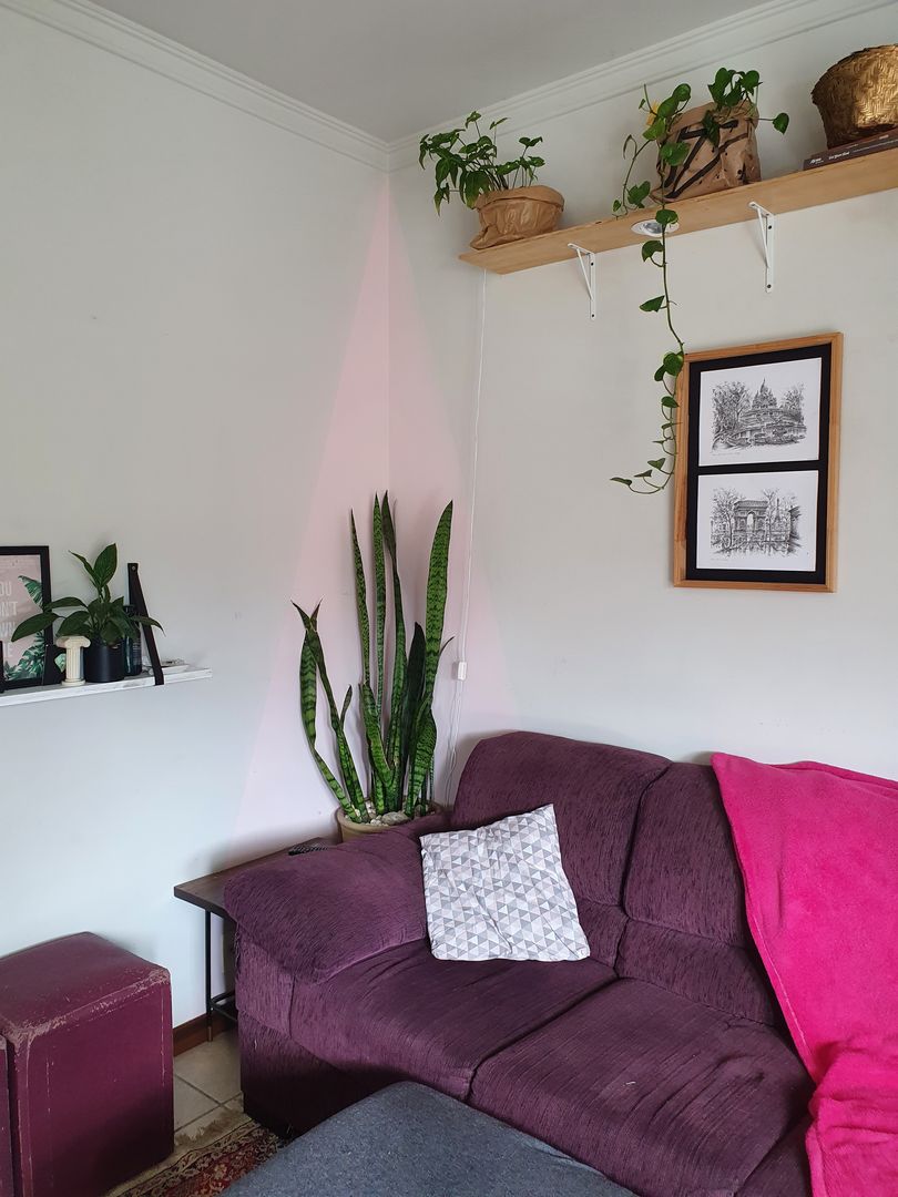 DIY Spider Web Removal: How to get rid of spider webs | homify