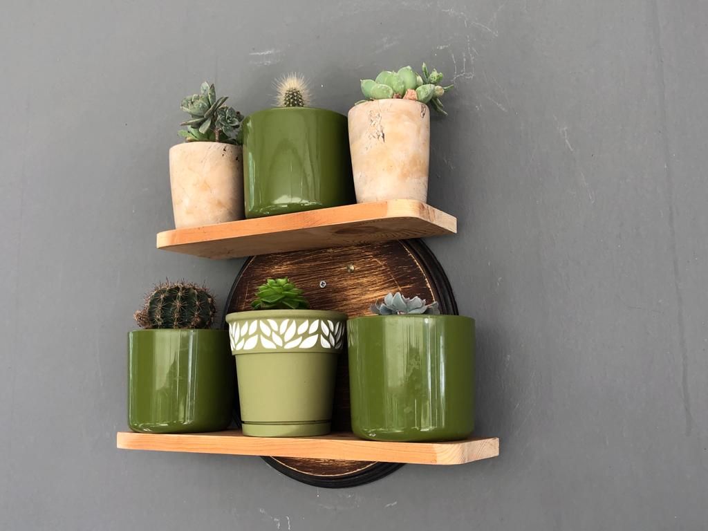 How To Make Plant Shelf In 12 Easy Steps l DIY Plant Shelf To Display ...