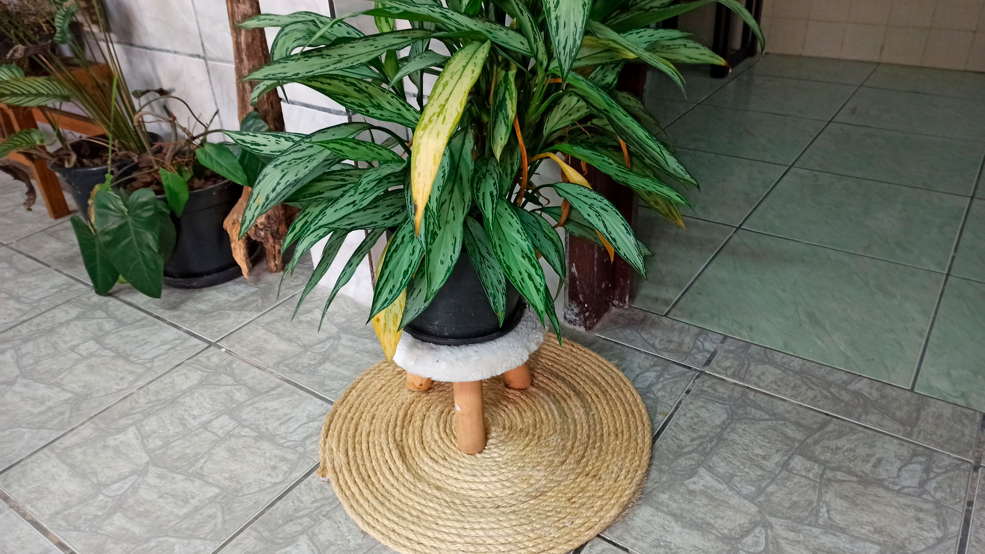 DIY Tutorial On How To Make Sisal Rug l DIY Sisal Carpet In 10 Easy ...