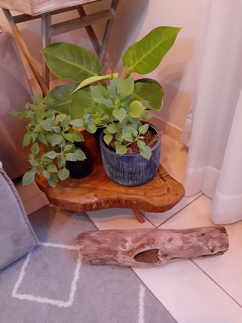 Cómo Adornar Un Tronco Seco En Simples Pasos | homify