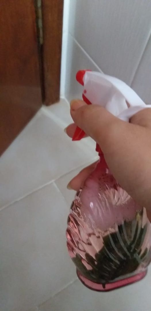 Qu’est-ce qui Attire les Araignées dans une Maison et Comment les Faire ...