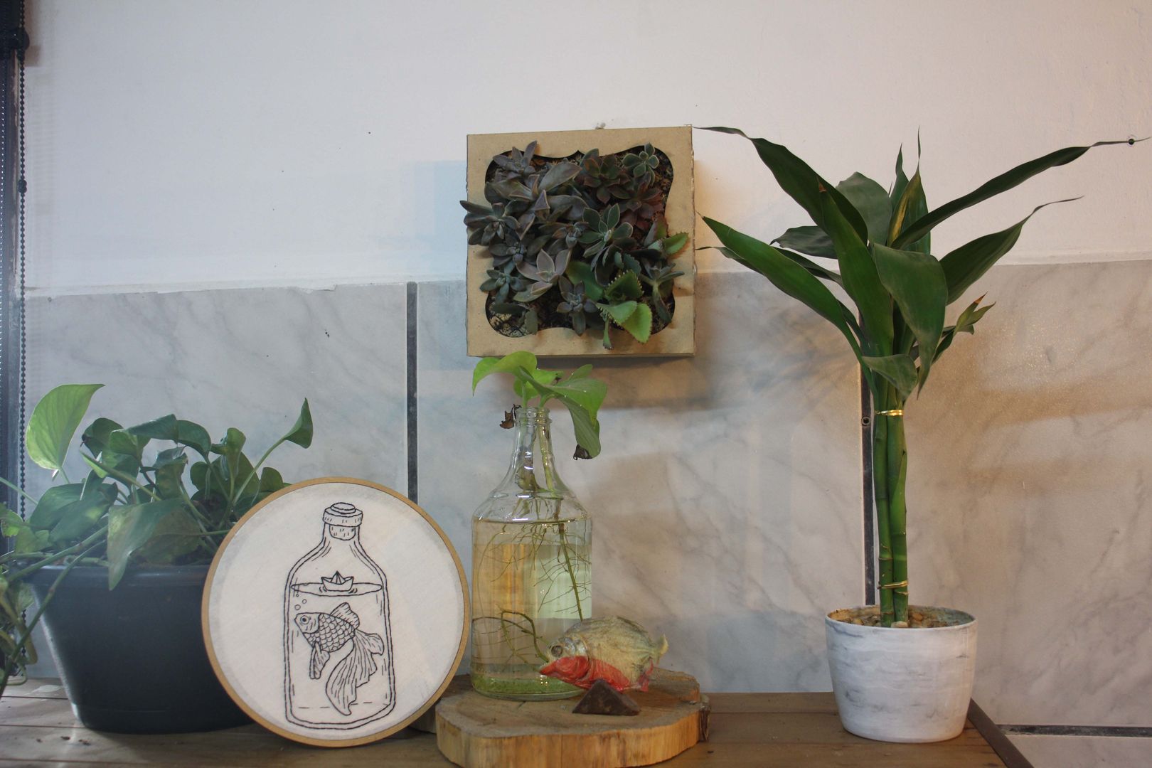 How to Make a Succulent Picture Frame | Amazing Live Plant Wall Art [8 ...