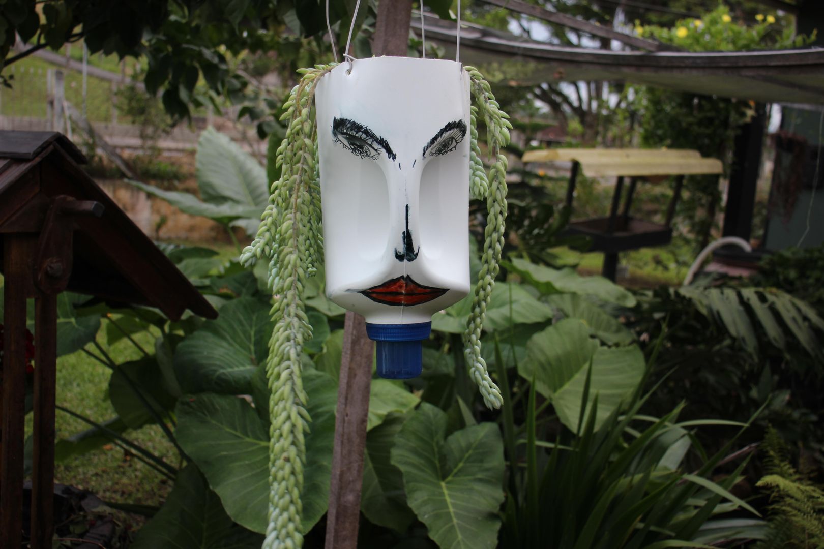 This is How You Make A DIY Head Planter in 8 Steps | homify