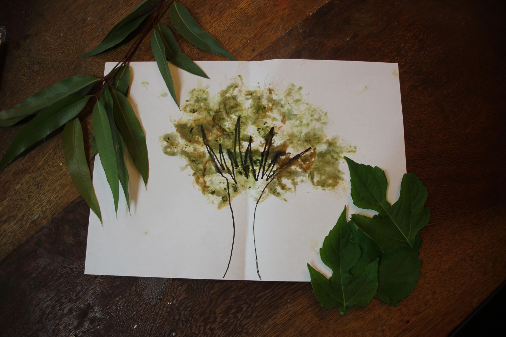 Fun Kids’ Art Project Ideas | DIY Chlorophyll Painting [7-Step Tutorial ...