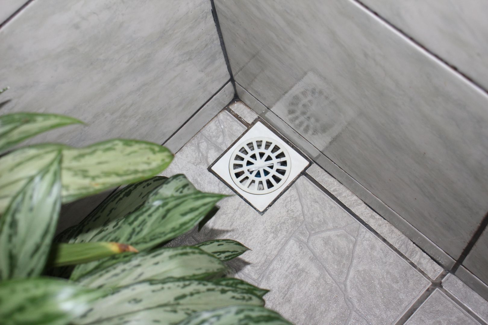 7-Step DIY: How To Stop Insects From Coming Out Of The Drain | homify