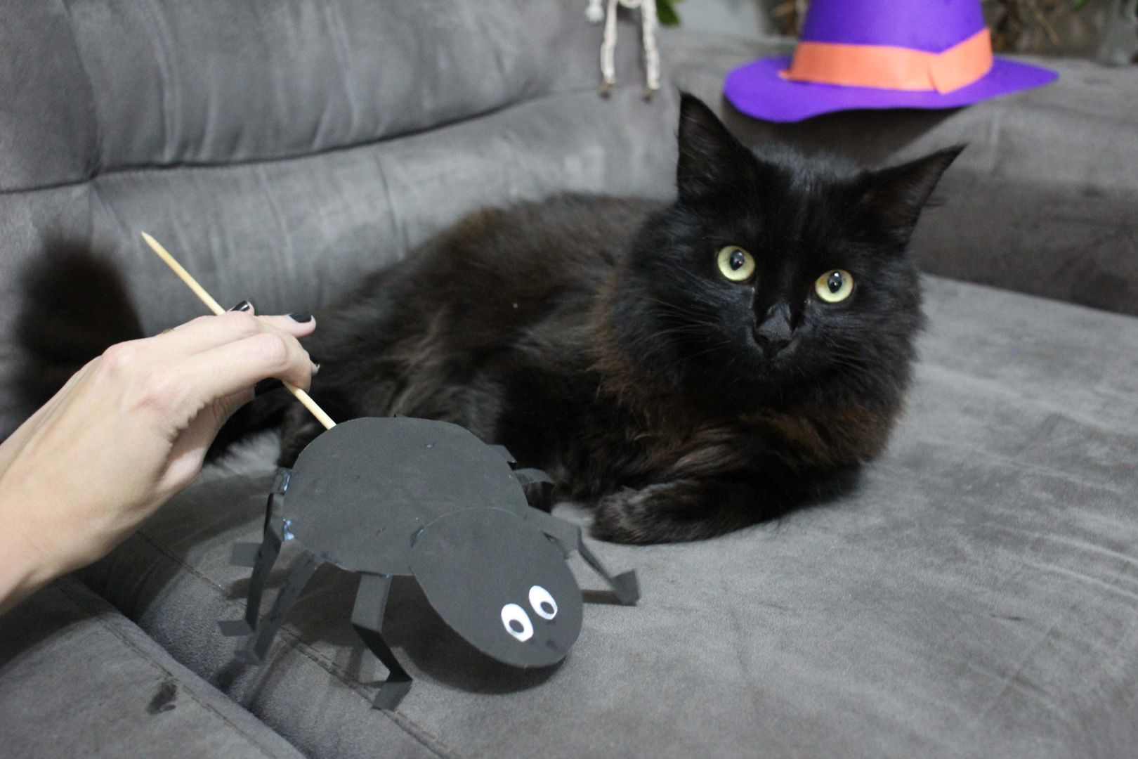 Creepy Spider Crafts for Halloween | 11-Step DIY | homify