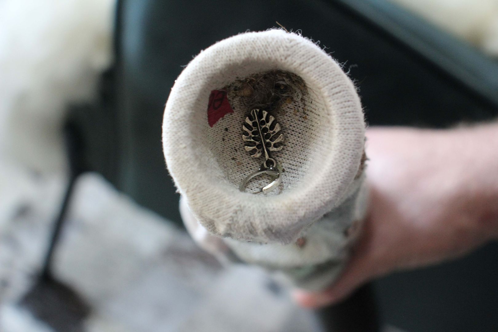 Your 8-Step Guide to Finding Lost Small Items with A Vacuum Cleaner ...