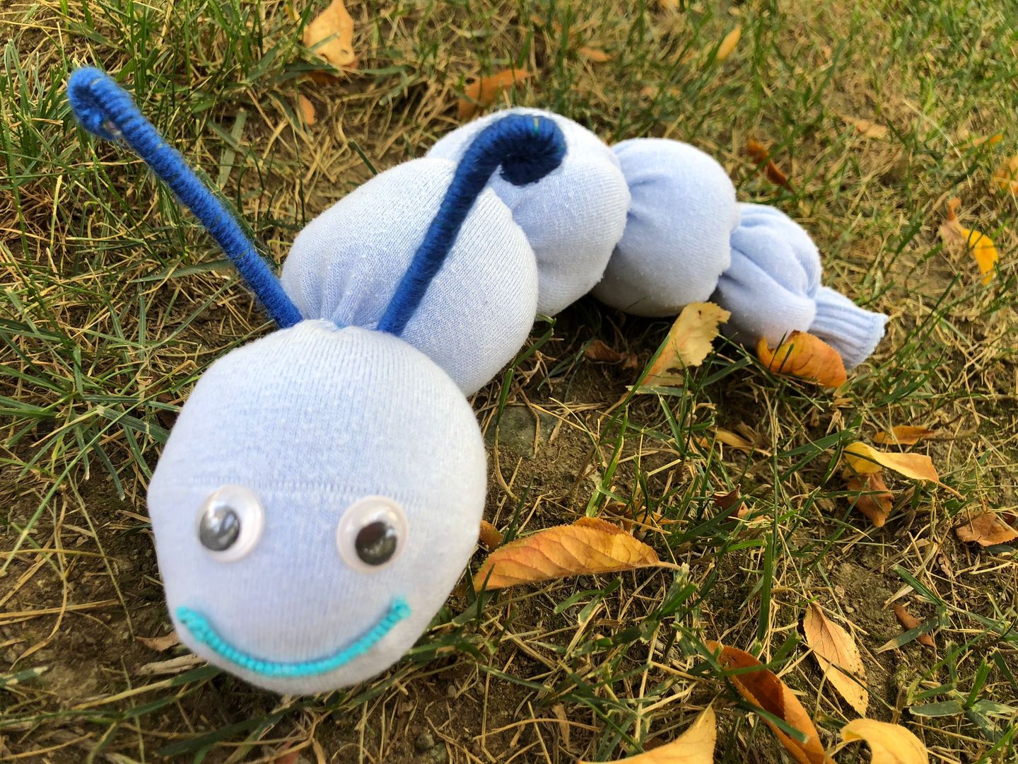 Learn How to Make No-Sew Sock Worms In 15 Steps | homify