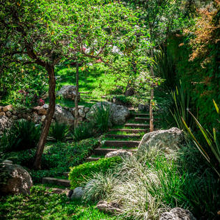 Jardines: artículos, tips e información | homify