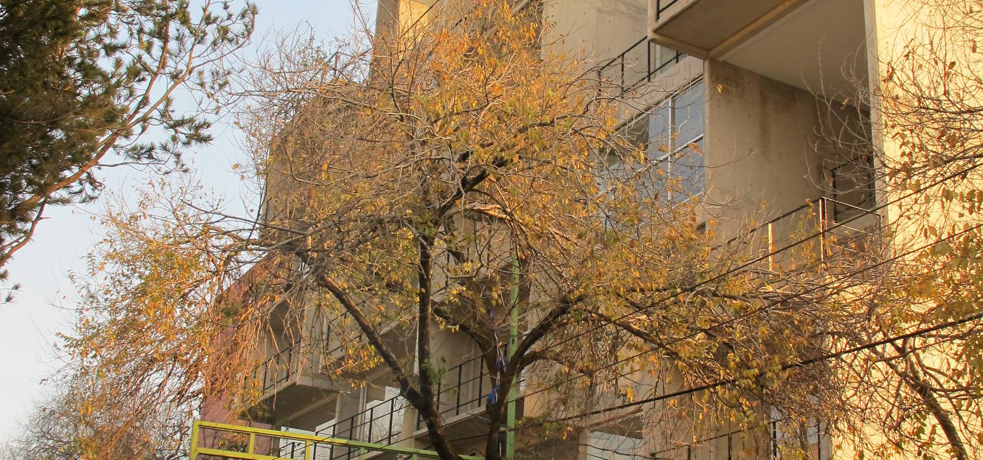 Living Zapata | homify