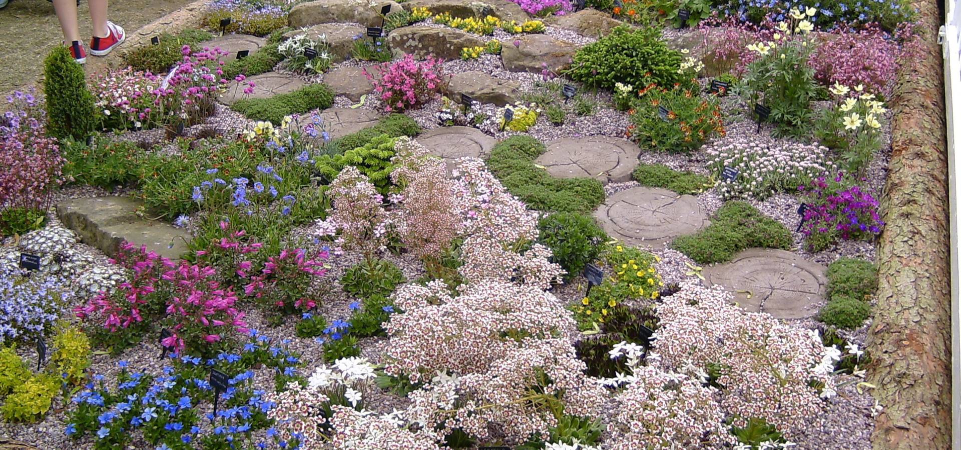 Create a colourful alpine garden. | homify