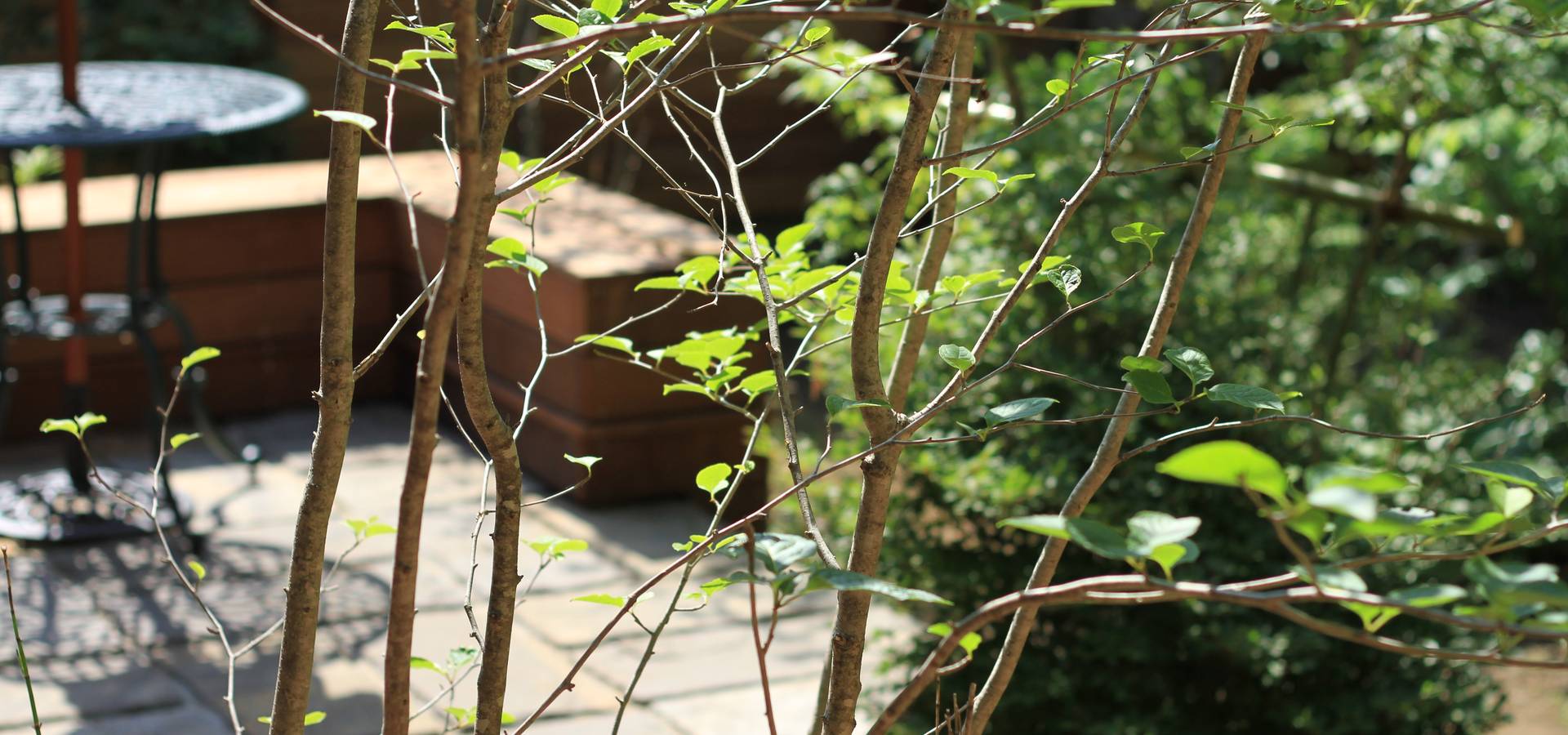 神奈川県の造園会社、植徳 | homify